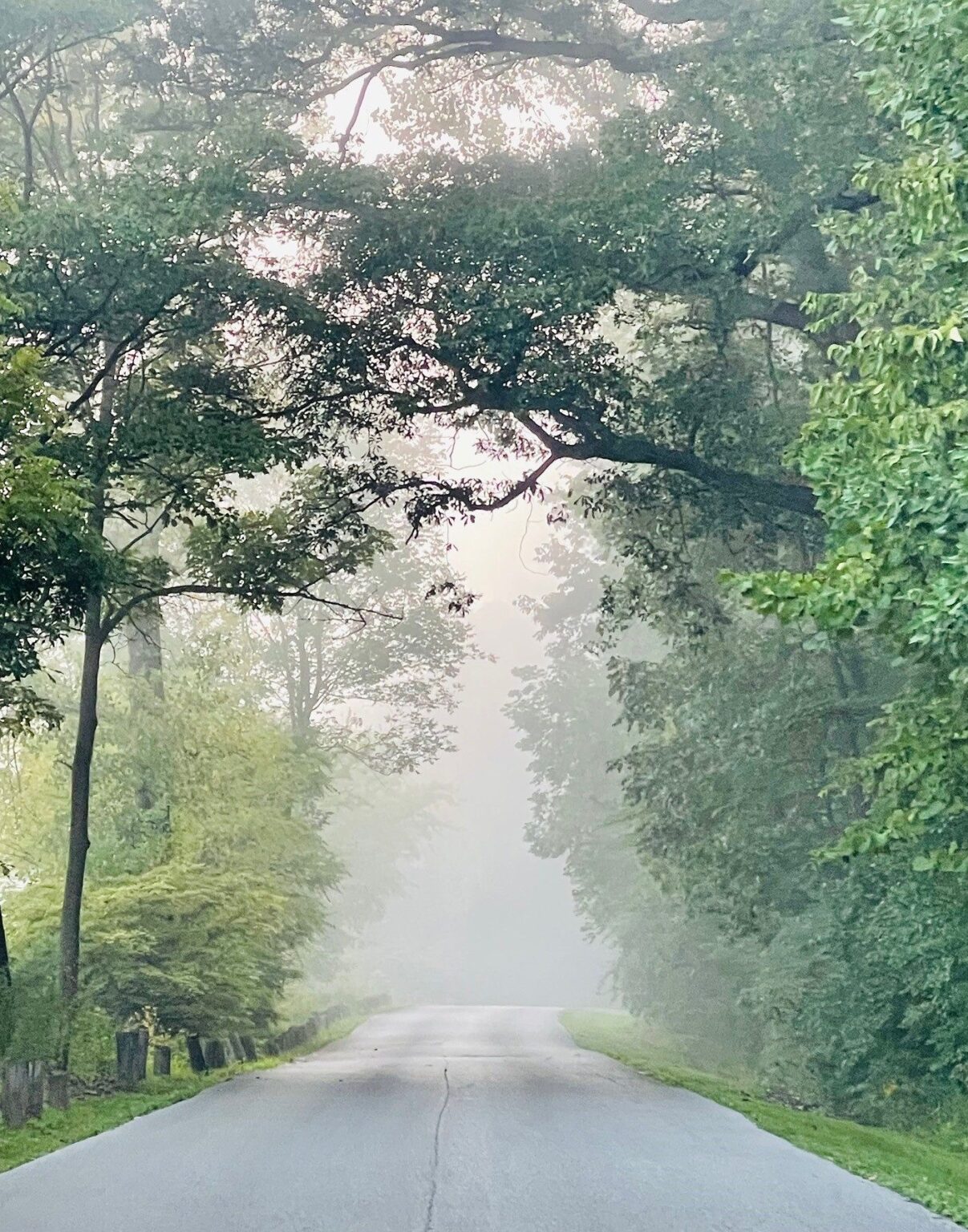 Ouabache (Wabash) Trails Park - Vincennes/Knox County VTB