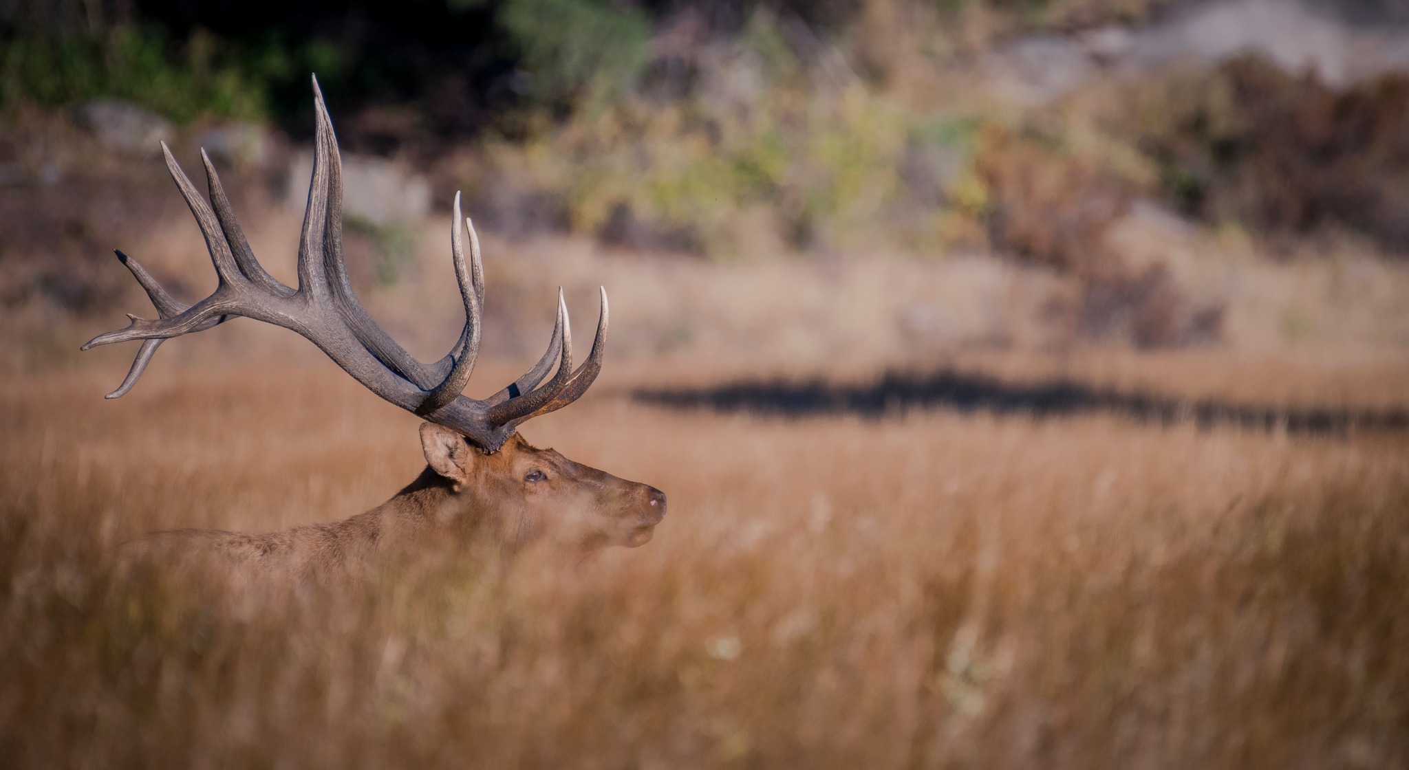 Three Rivers Banquet - Vincennes/Knox County VTB